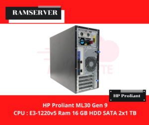 HP Proliant ML30 Gen 9 - RAM SERVER